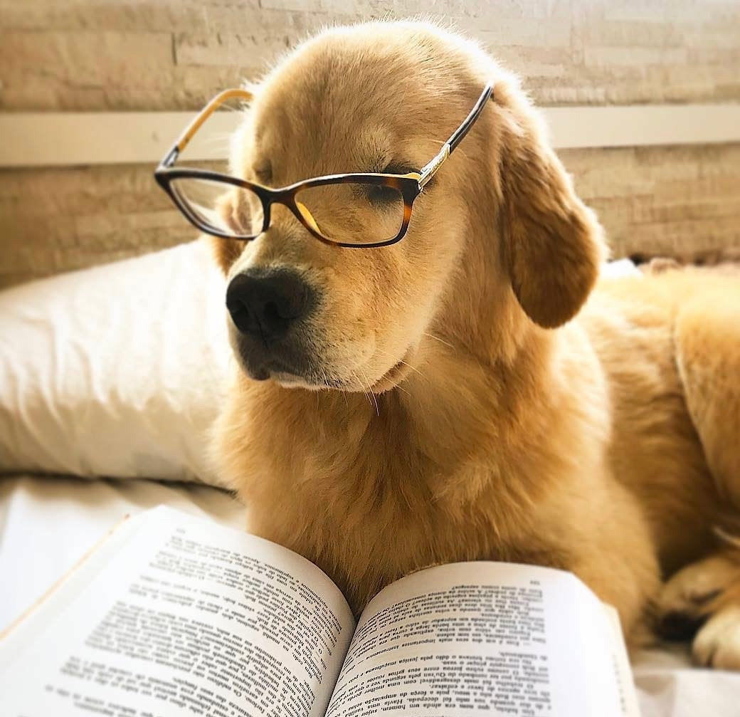 What's a Blemish? – August+Monroe, Inc.